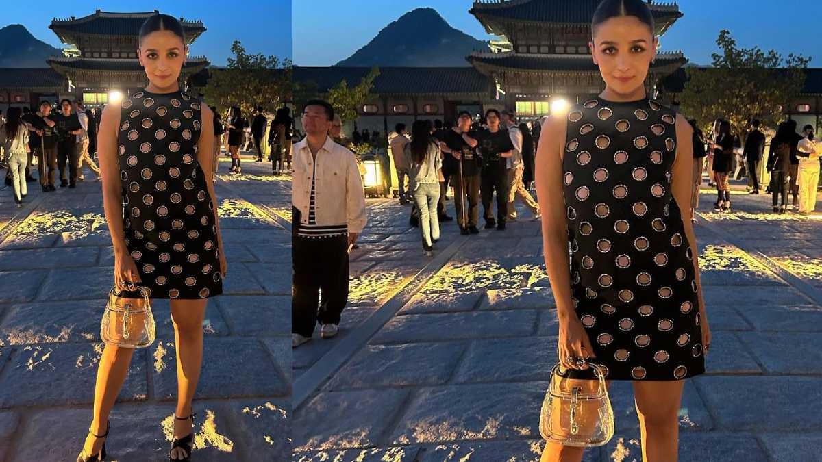 Alia Bhatt Troll- आरपार दिख रहे बैग में नहीं था कुछ भी, बुरी तरह से ...